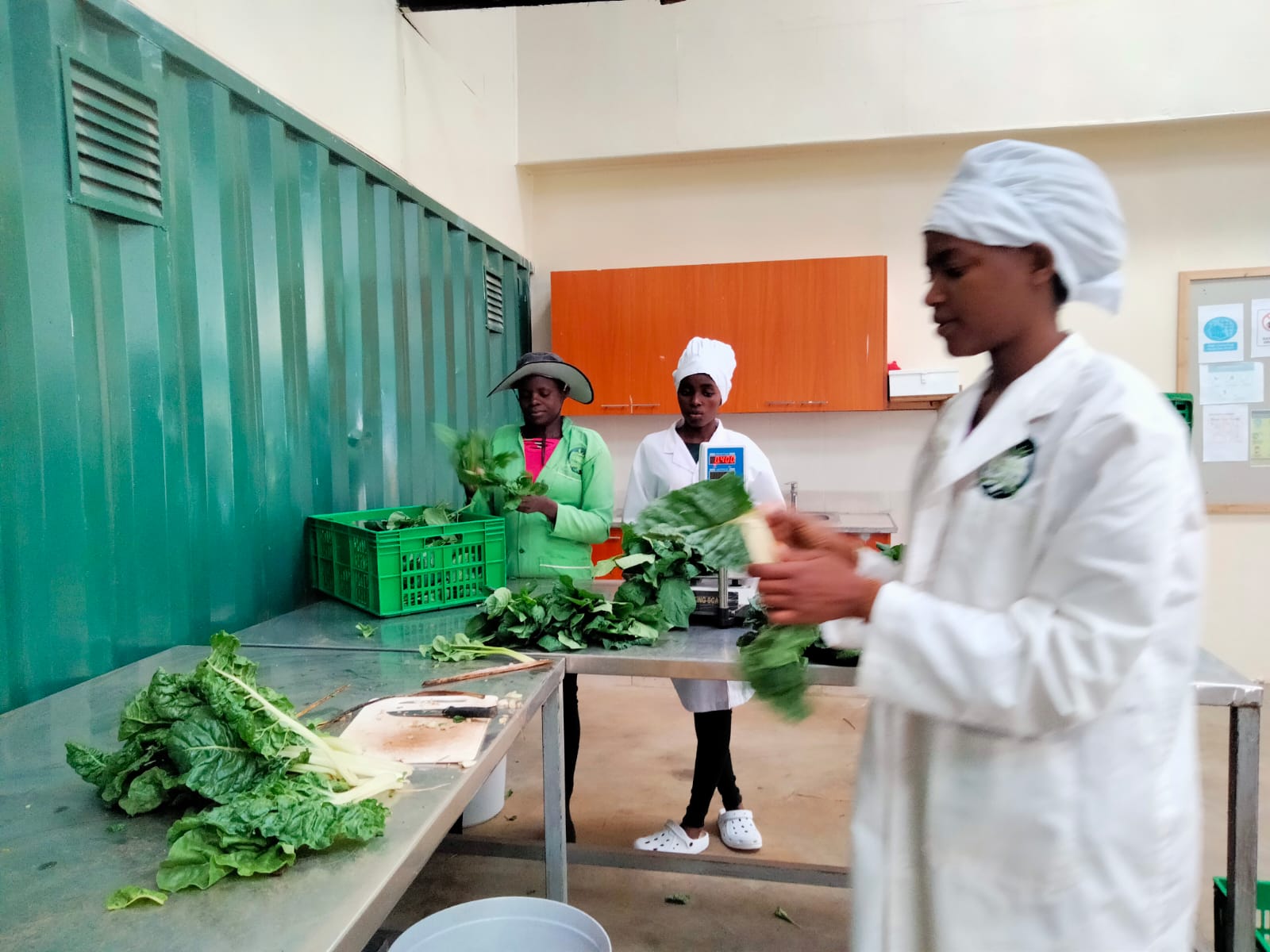 Gallery – Zuriel Fresh Farm